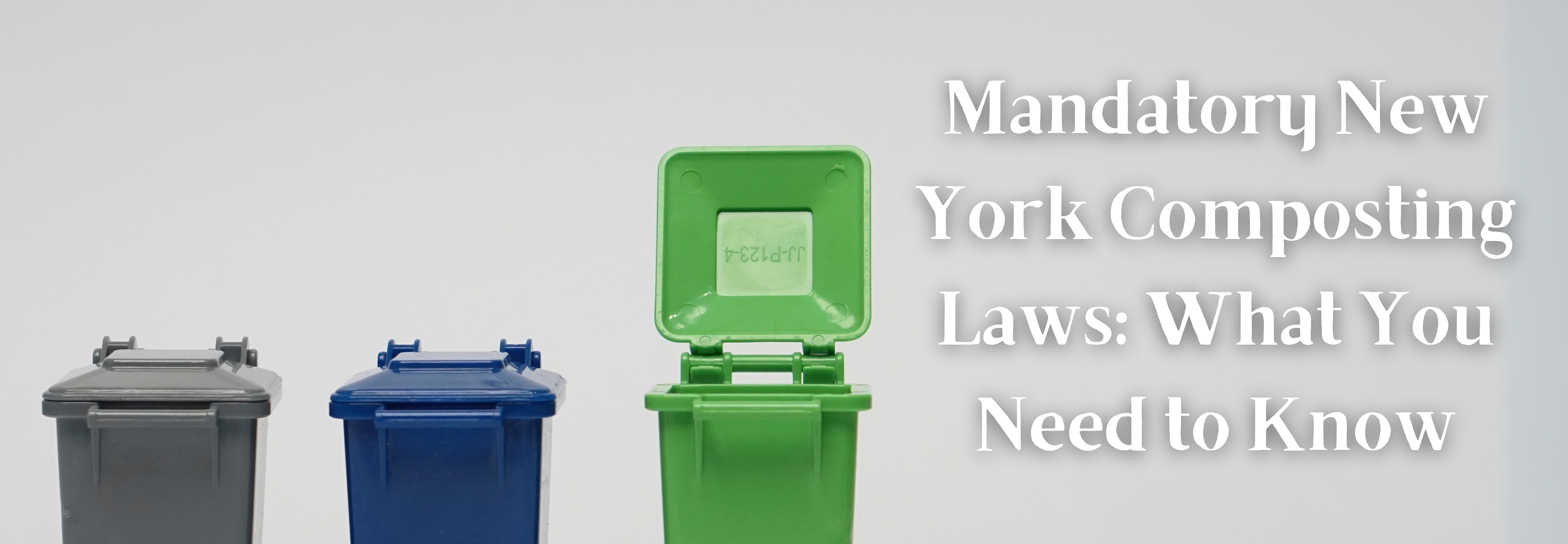 Mandatory New York Composting Laws: What You Need to Know – Bamboozle Home