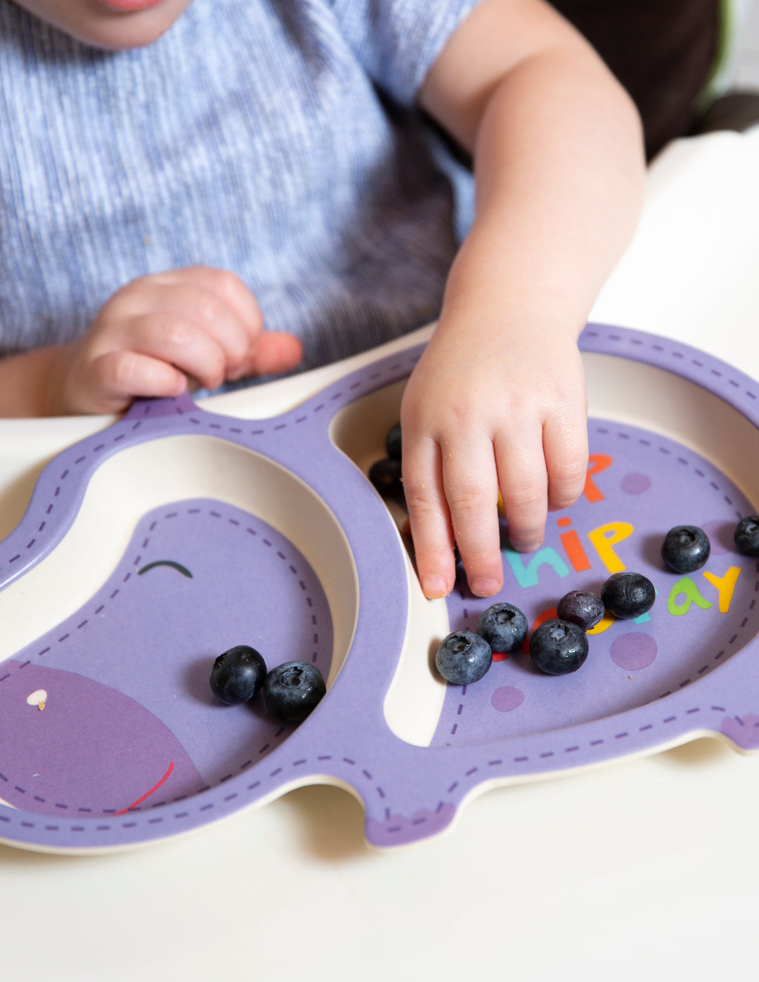 Collections – Bamboozle Home